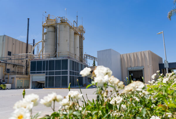 DEMSA – Empresa Industrial Argentina