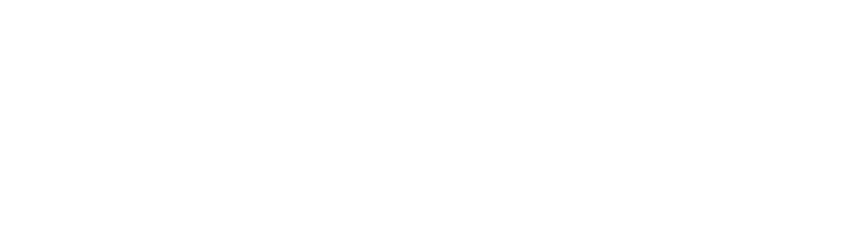 LANDING POLVOS QUIMICOS SECOS – DEMSA